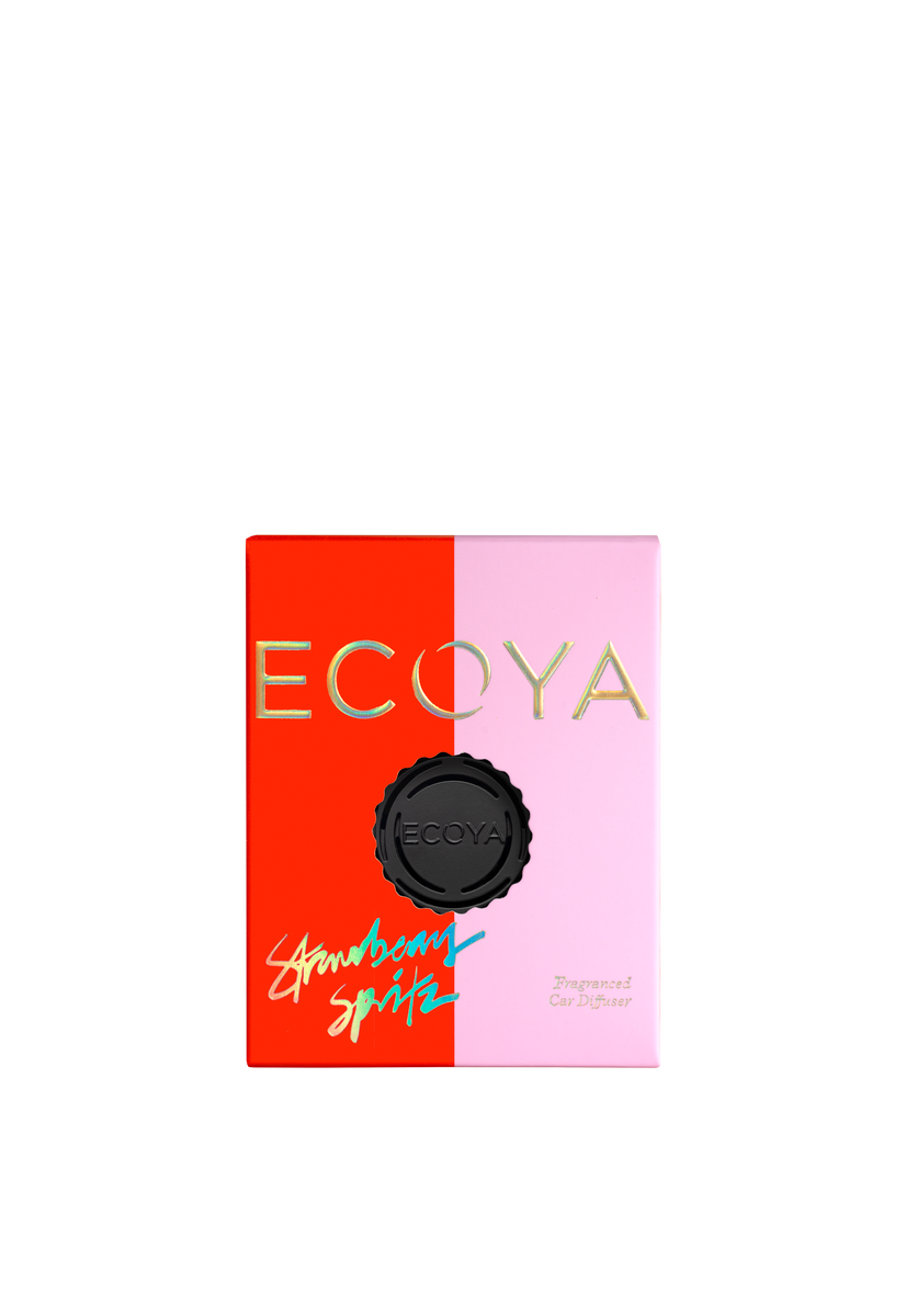 Holiday Car Diffuser – cinnamonbrown